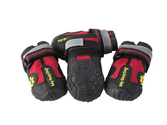 6 Best Dog Booties for Hiking and Hunting - Outdoor Moran