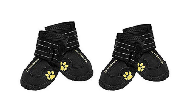 6 Best Dog Booties for Hiking and Hunting - Outdoor Moran