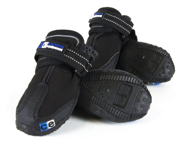 6 Best Dog Booties for Hiking and Hunting - Outdoor Moran