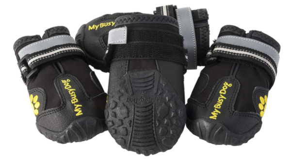 6 Best Summer Dog Booties - Outdoor Moran
