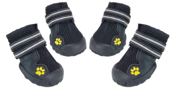 6 Best Summer Dog Booties - Outdoor Moran