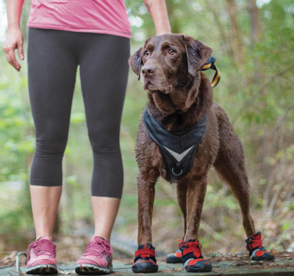 6 Best Summer Dog Booties - Outdoor Moran