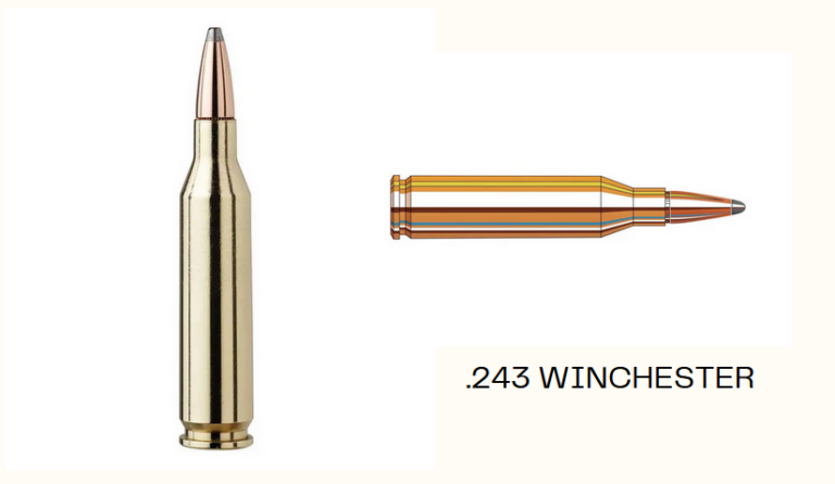7 Best Scopes for 243 - Outdoor Moran