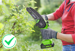 6 Best Mini Pruning Chainsaws - Outdoor Moran