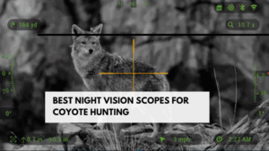 7 Best Night Vision Scopes for Coyote Hunting - Outdoor Moran