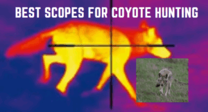 6 Best Scopes for Coyote Hunting - Outdoor Moran